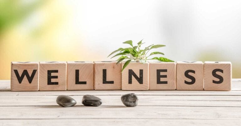 SJC Wellness - St. Johns County